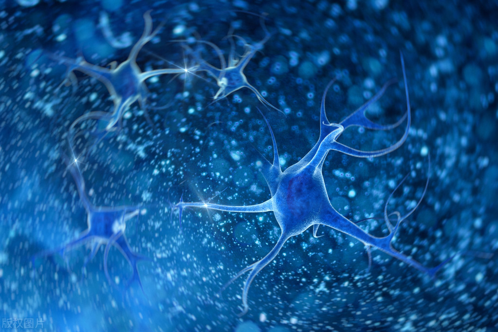 Gene expression in neurons solves brain evolution puzzle - iNEWS