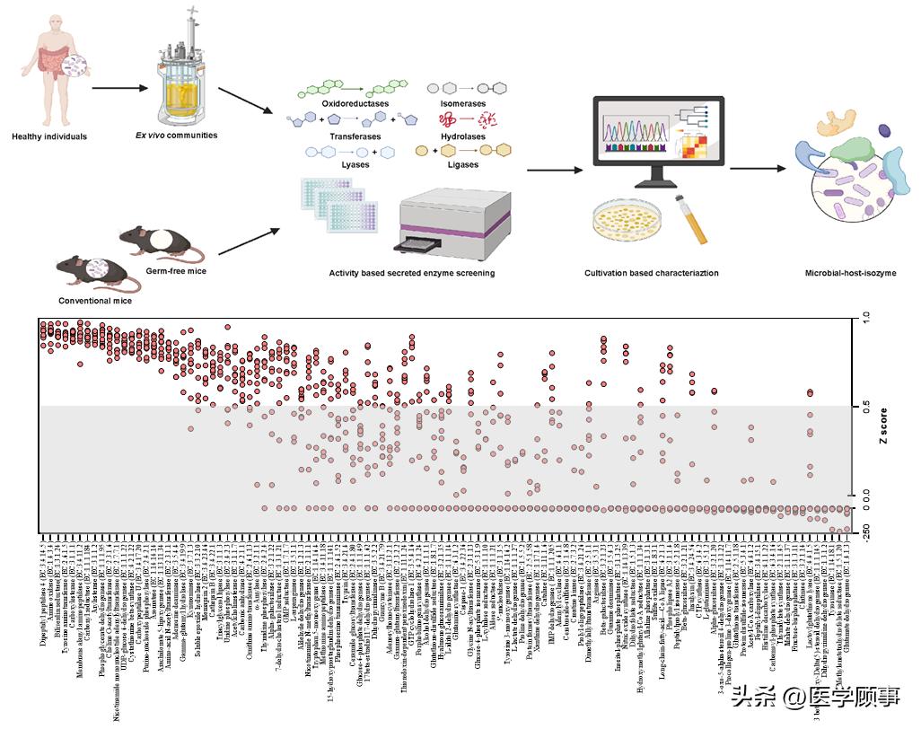 Potential new target for diabetes treatment! The Peking University team ...