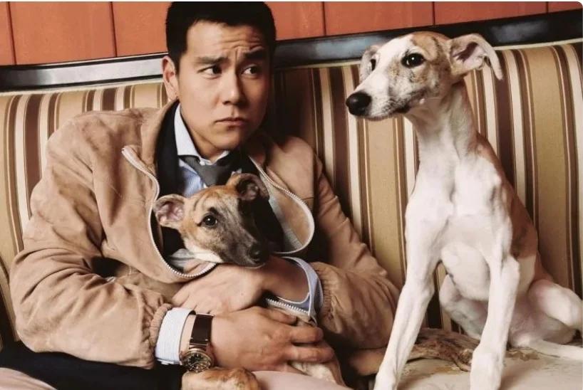 High-quality idol Peng Yuyan appeared on the road, picking up the ...