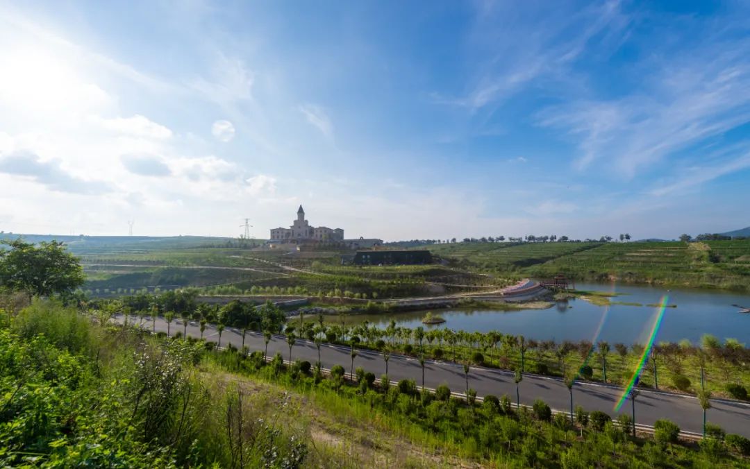 The "spring" of Yantai's wine industry is here - iNEWS