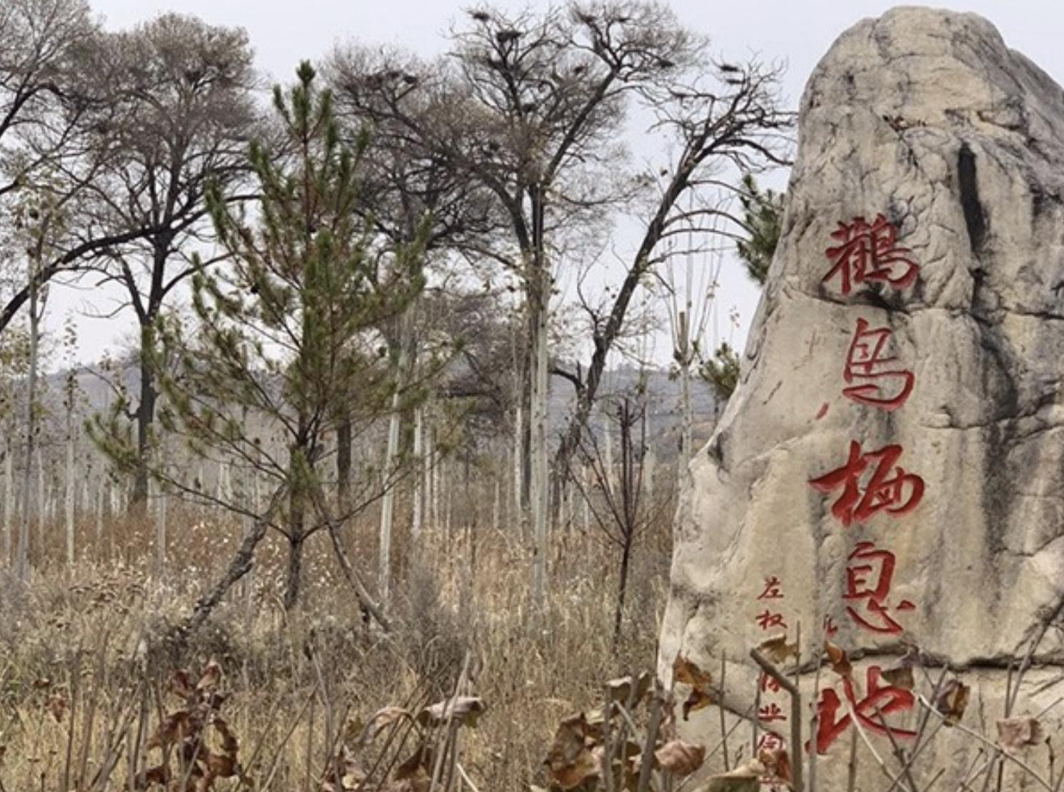 After General Zuo Quan died, Grandpa Mao set a special rule, which no ...