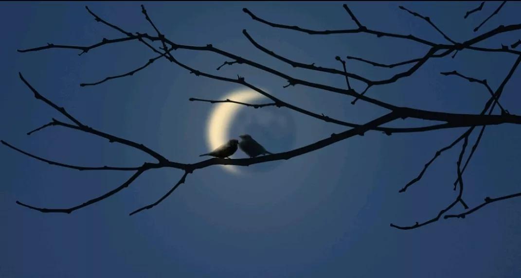 Su Shi wrote a poem in the temple, and the last two sentences became ...