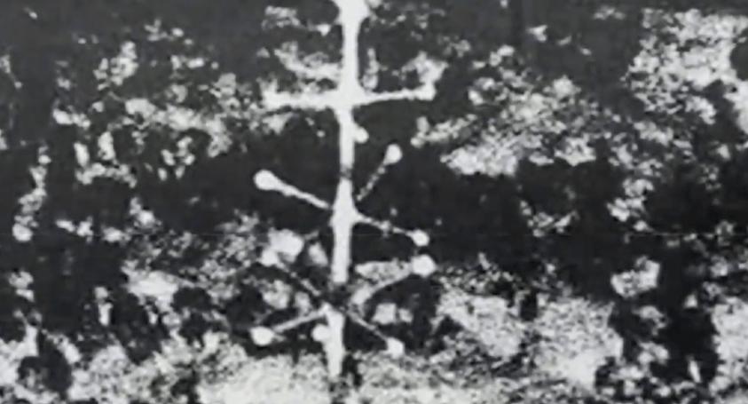 Aliens are spying on the world?'Alien Antennas' in the Deep Sea of ...