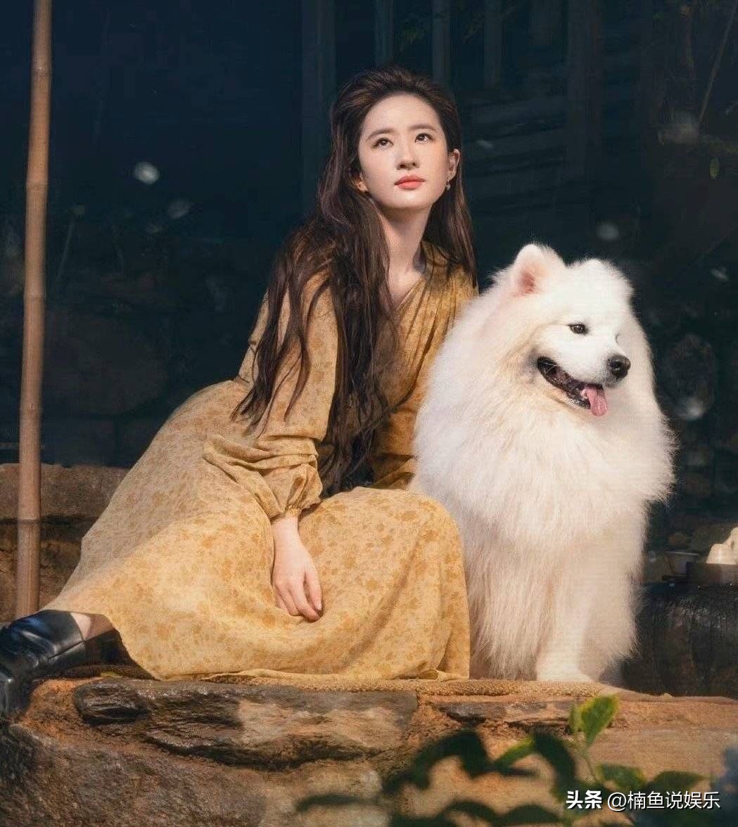 What does Liu Yifei look like with cut bangs?The fairy sister turned ...