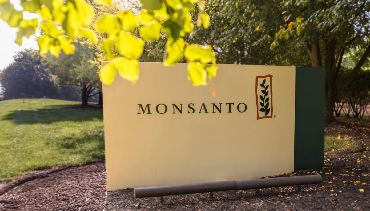 Demystifying Monsanto: The Conspiracy Hidden Behind the Genetically ...