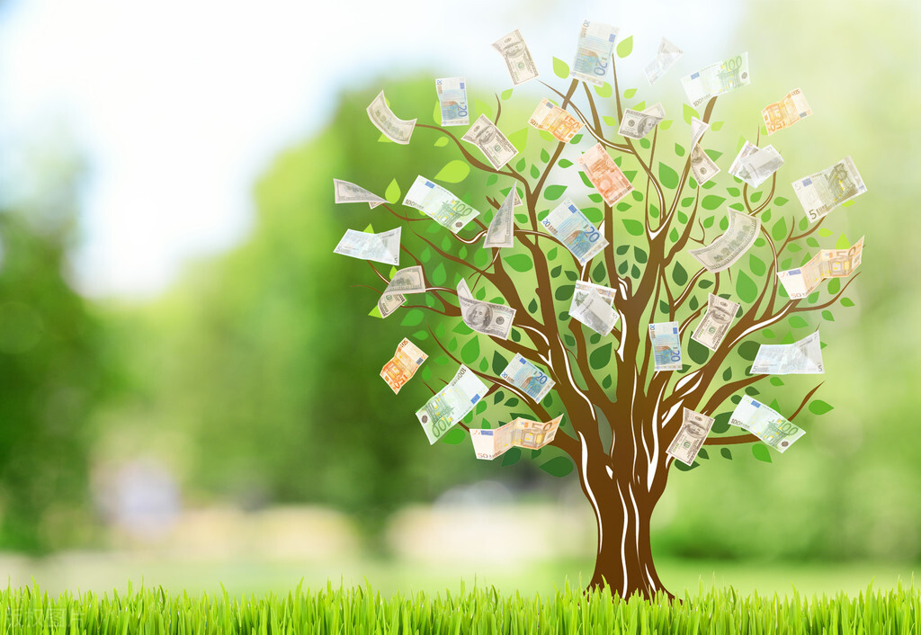 What is the meaning and symbol of the money tree blooming - iMedia
