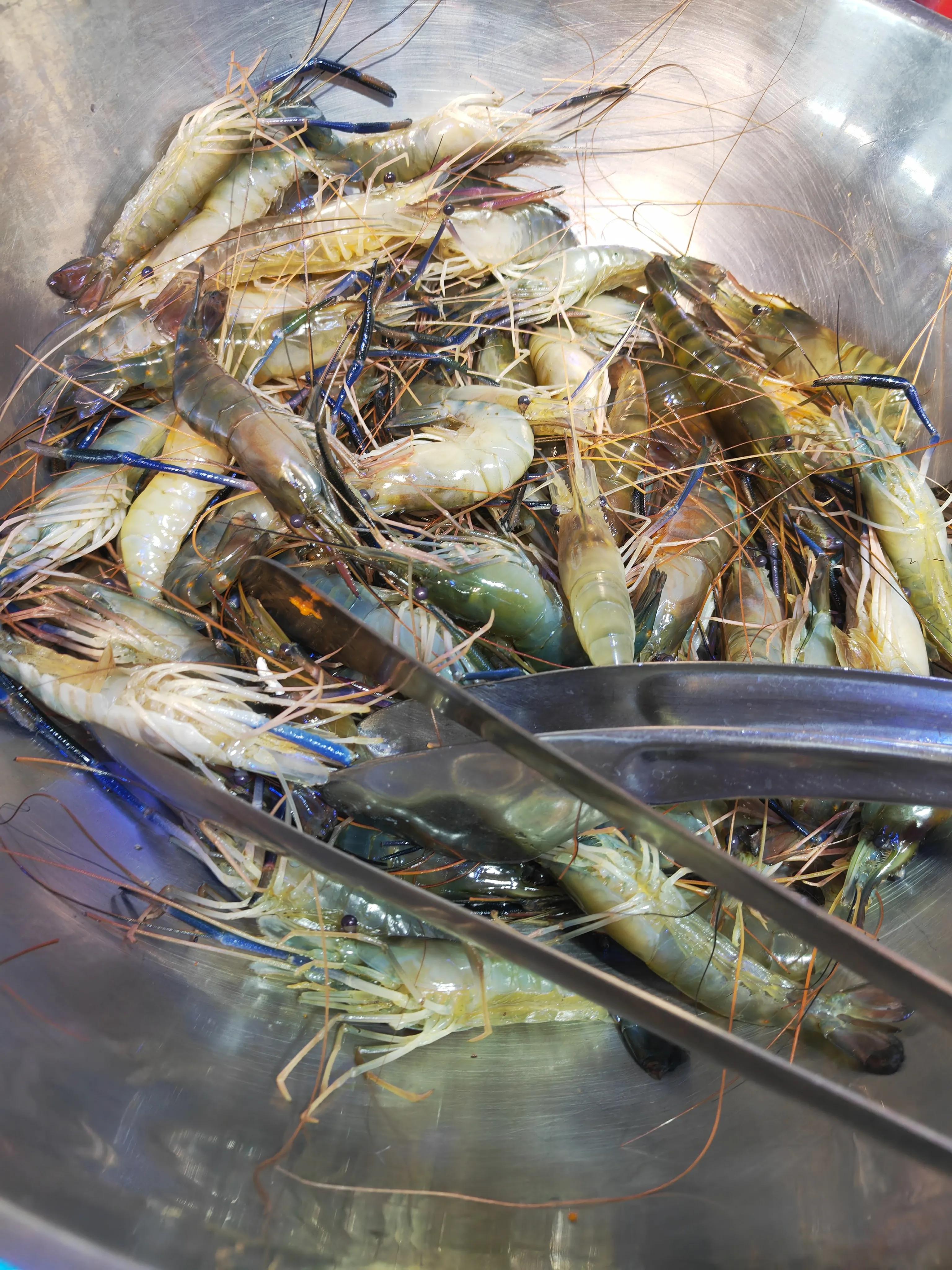 Guangzhou seafood buffet cost-effective ceiling?Elegant Hotel Linjiang ...