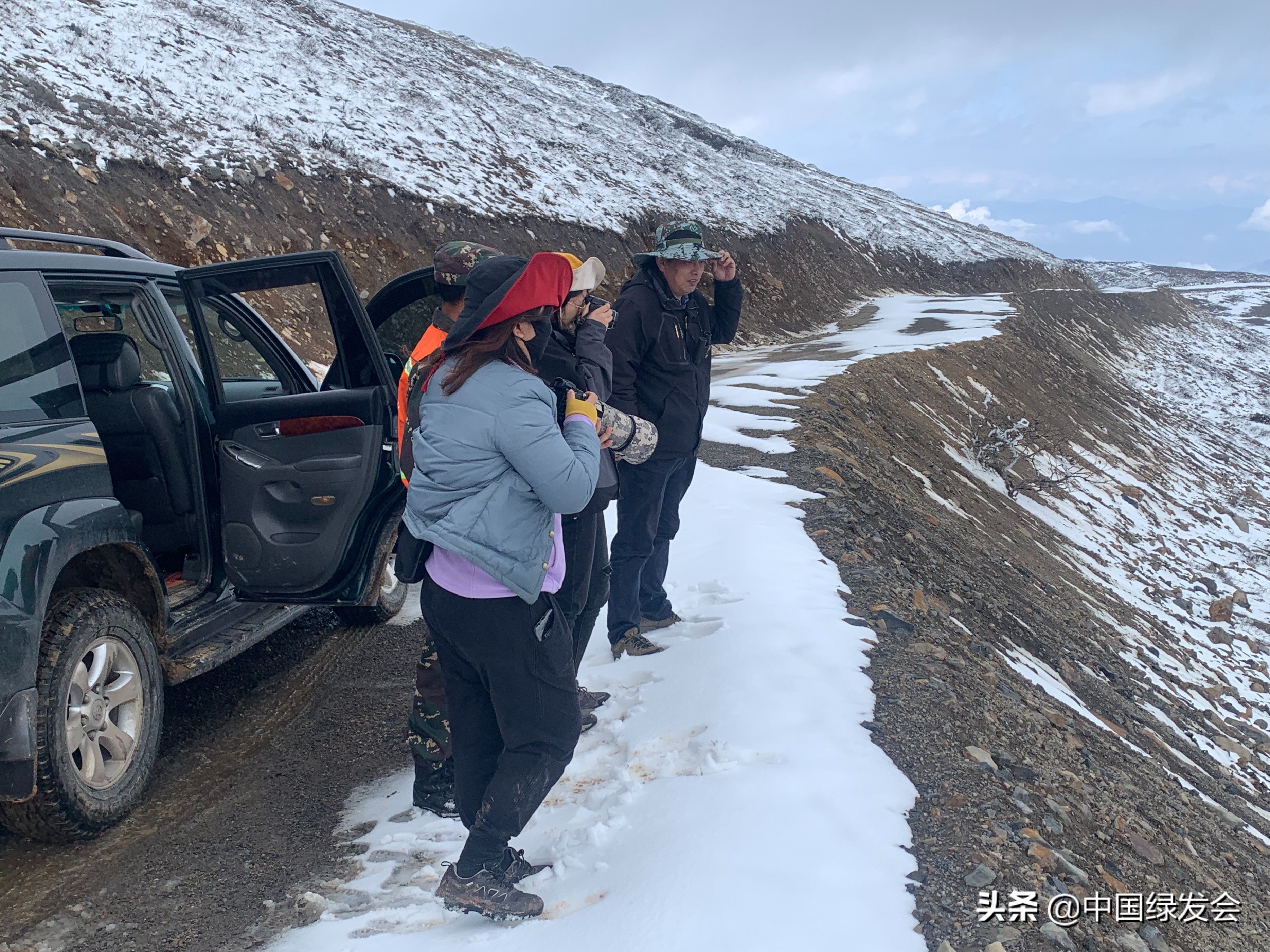 Record 32 species of key protected animals!Bird survey in high-altitude ...