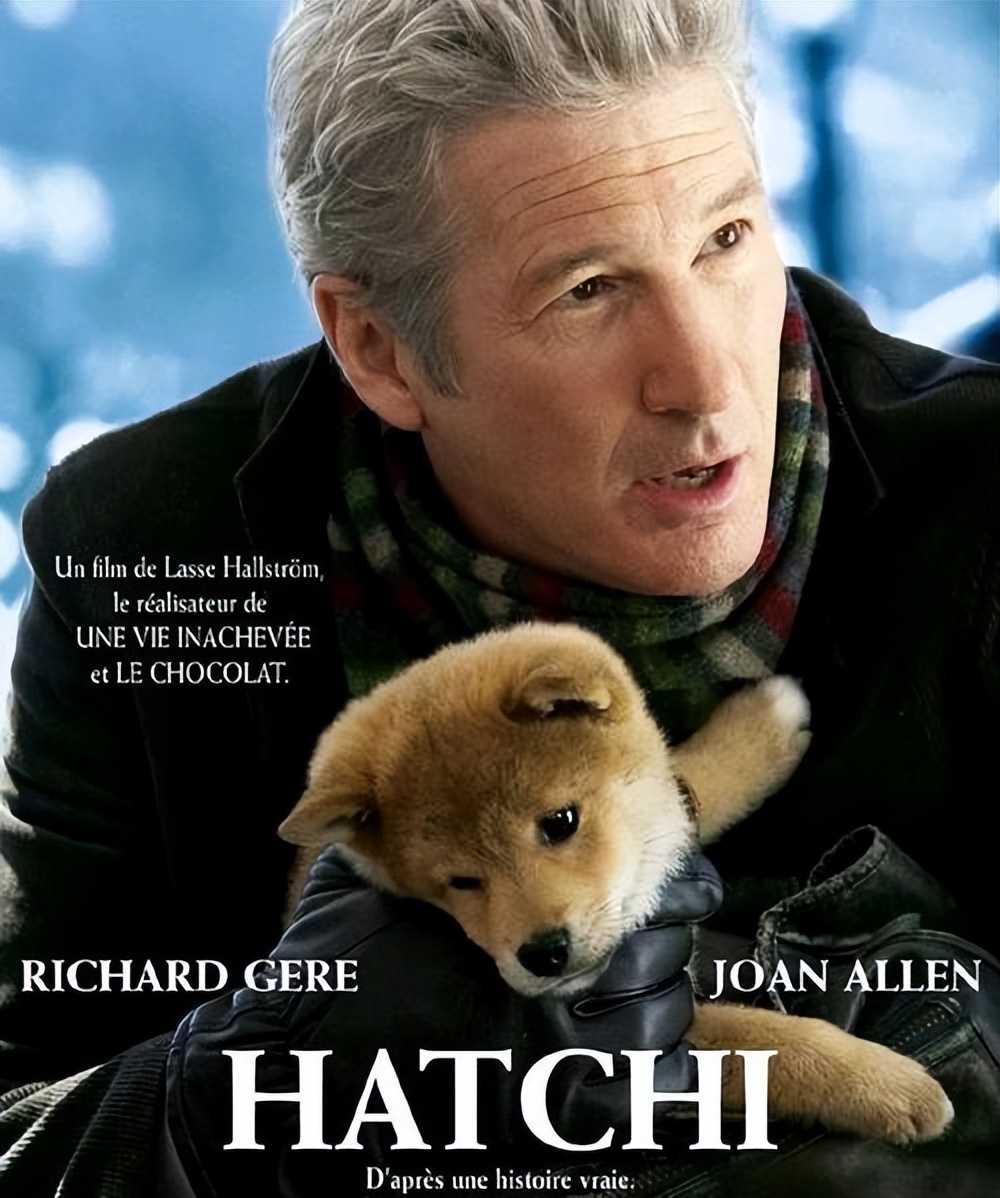 The eternal national hero Deng Shichang! Taiyang, the eternal loyal dog of the country! Hachiko ...