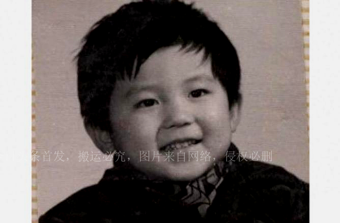 The rise to power of the "talented genius" Li Chen, his story is far ...