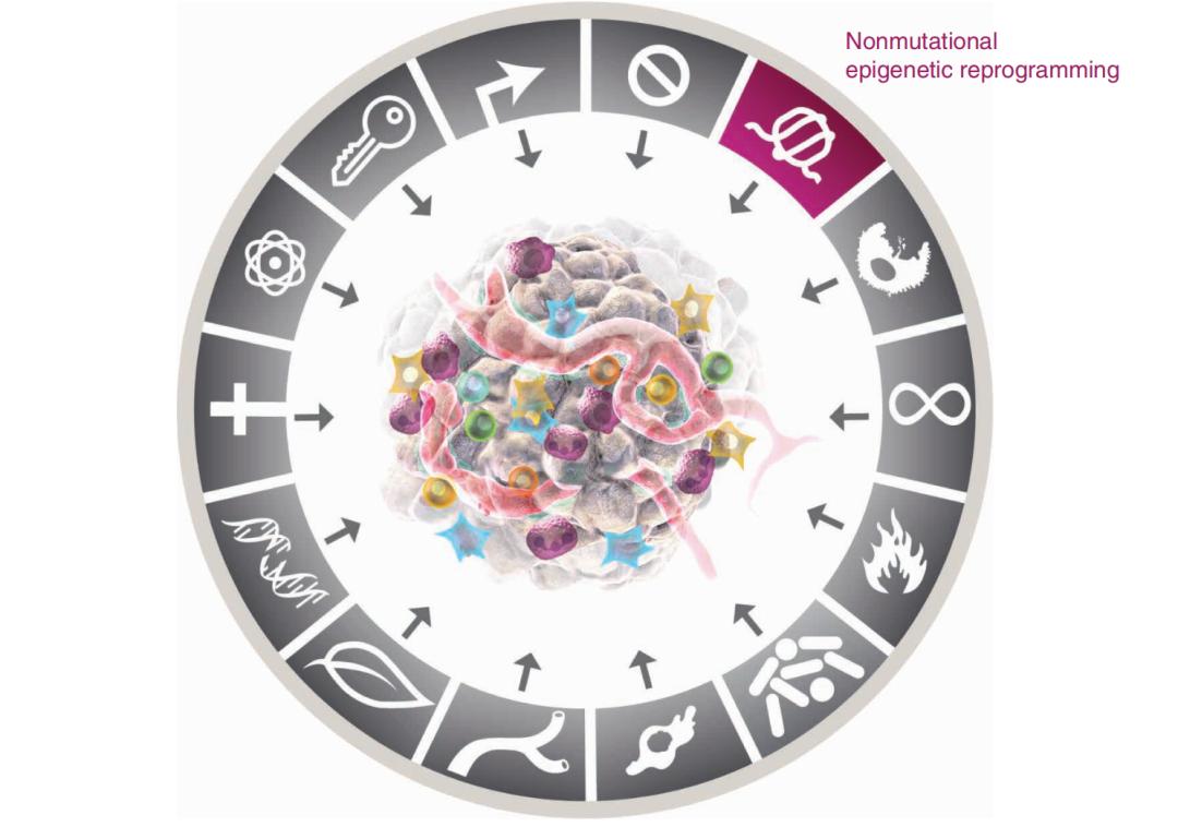 14 hallmarks of cancer - iMedia