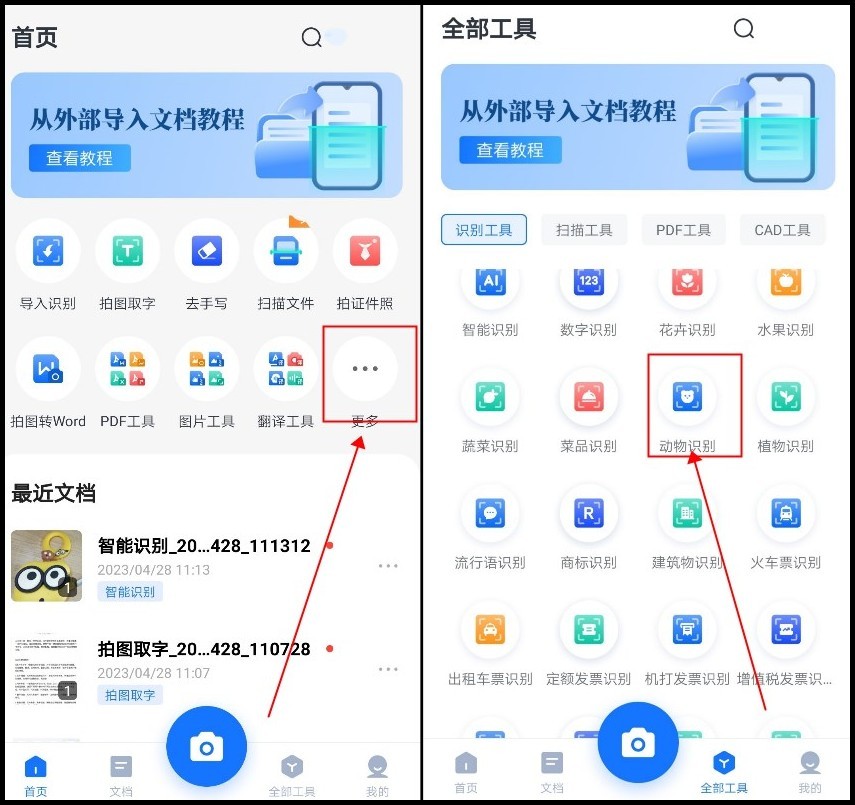 How to identify animals by scanning? Tips for identifying animals - iMedia