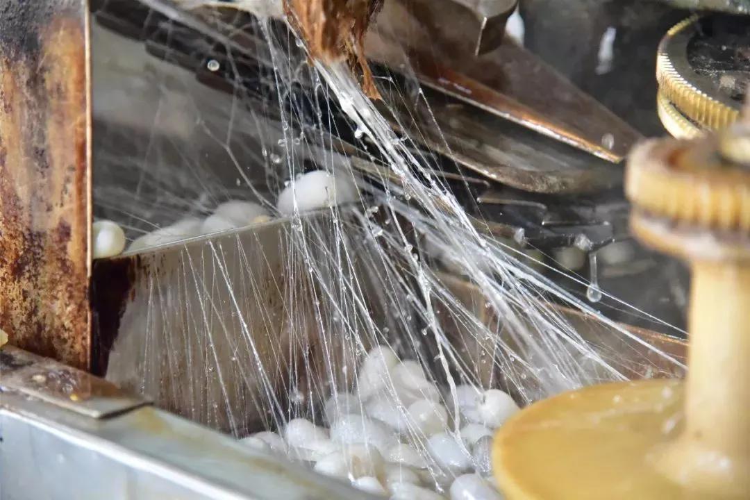 The mystery of silk technology, when did the earliest silk technology ...