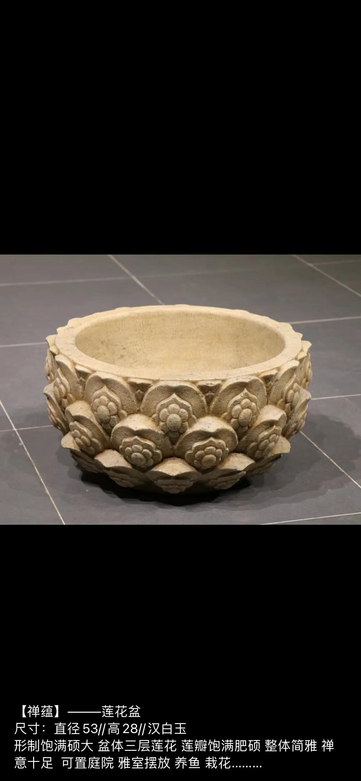 [Zen Yun]——Lotus Pot - iMedia