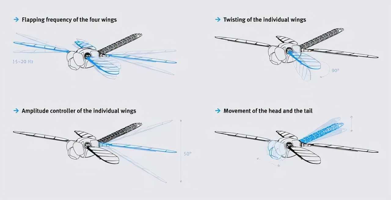 Almost the same as the real one, this bionic dragonfly is about to ...