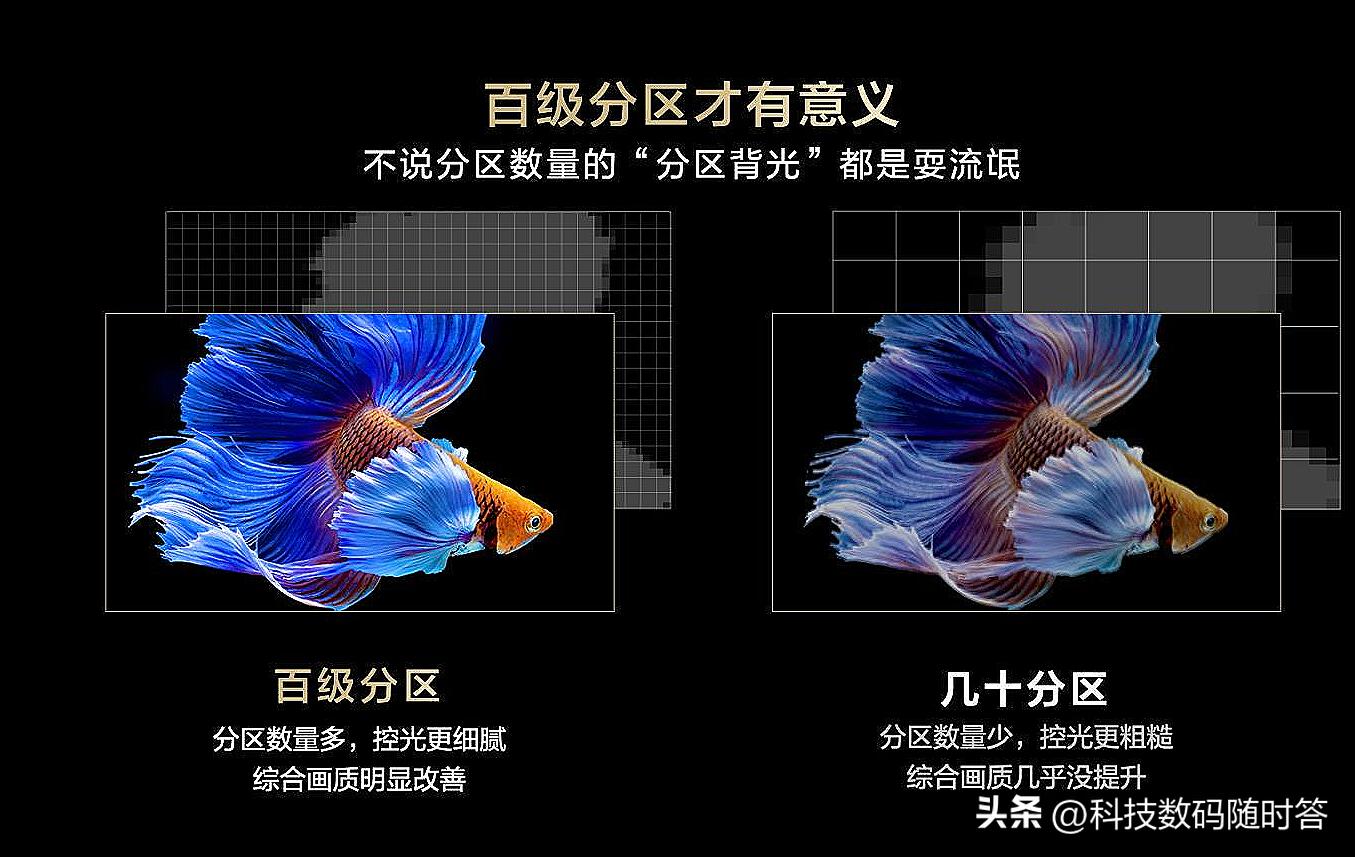 TCL V8G and Hisense E5H at 4K price, how to choose Double Eleven? - iNEWS