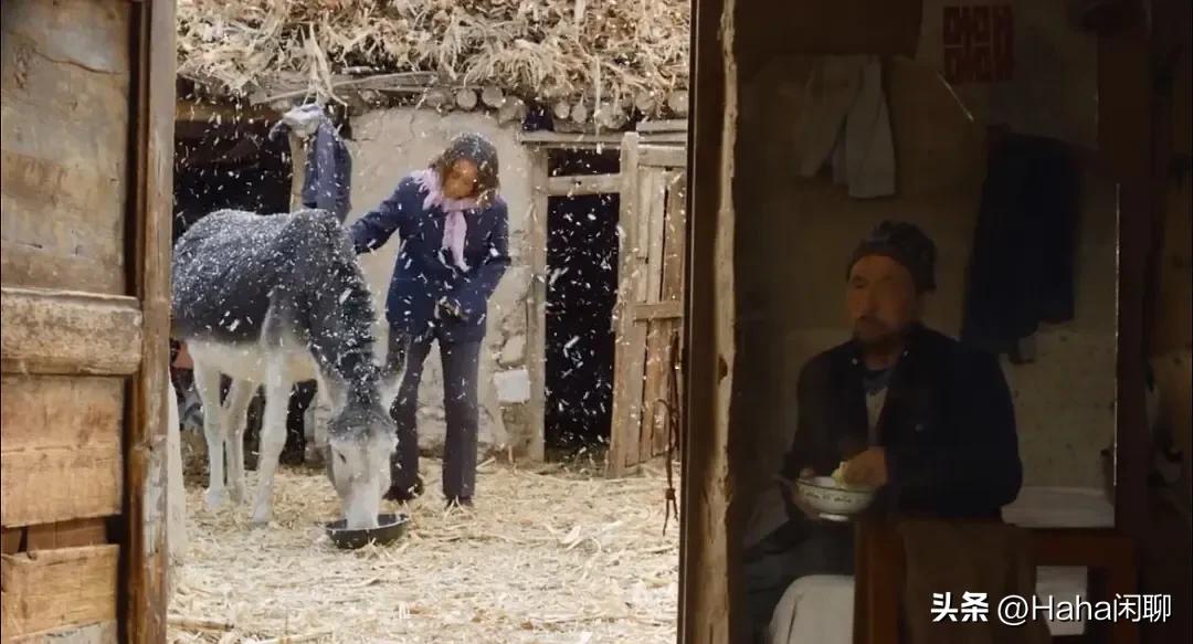 "National Daughter-in-law" Hai Qing, married to a poor man, can she ...