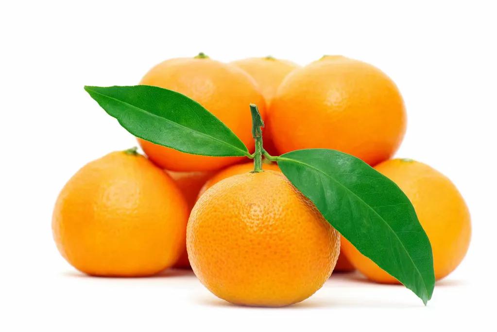 Chanting Oranges (Two Original Songs) - iNEWS