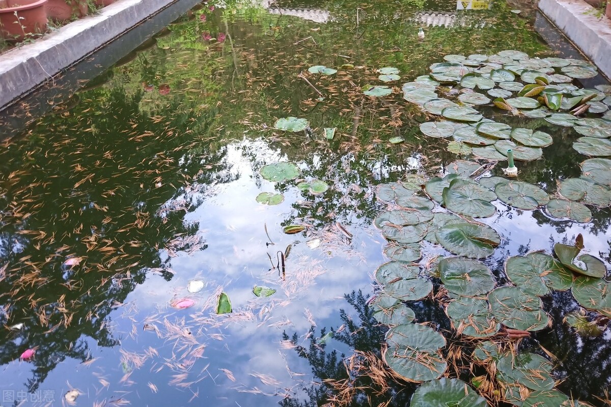 "Reading the Book and Feelings": Zhu Xi's poems pioneered the beauty of ...