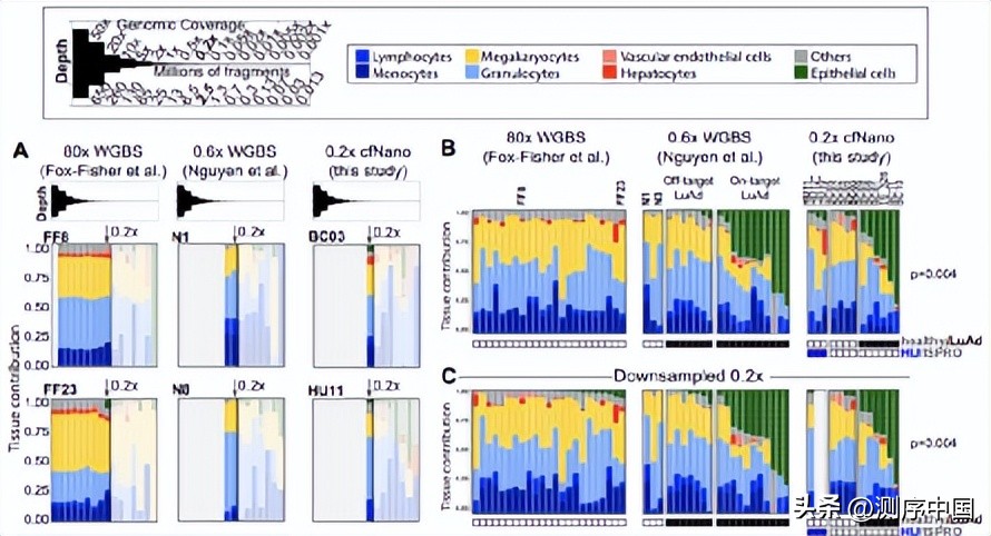 Nanopore sequencing can be used to detect cellular origin and cancer ...