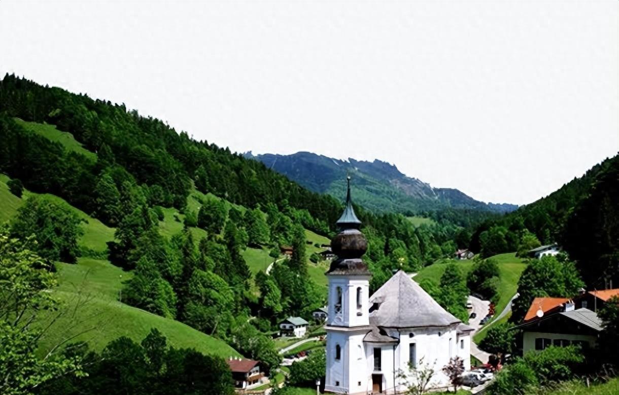 Forests cannot escape disaster, and the ecology is polluted - exploring ...