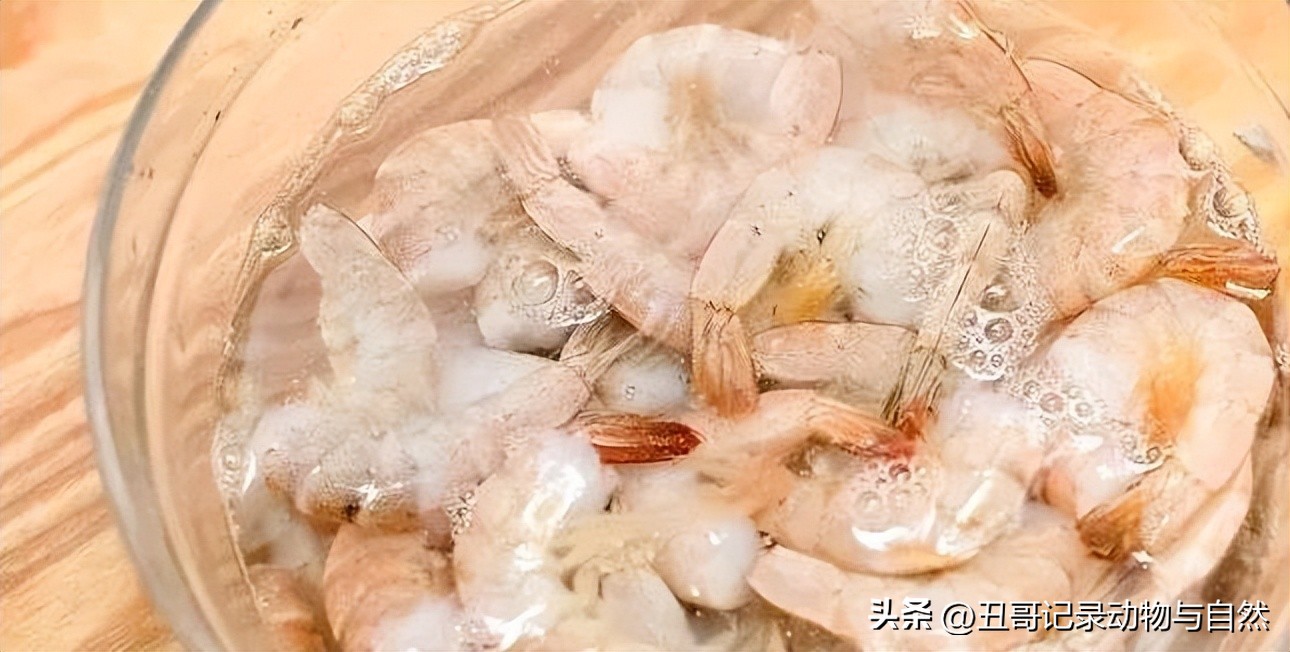 How can prawns be cooked fresh? - iNEWS