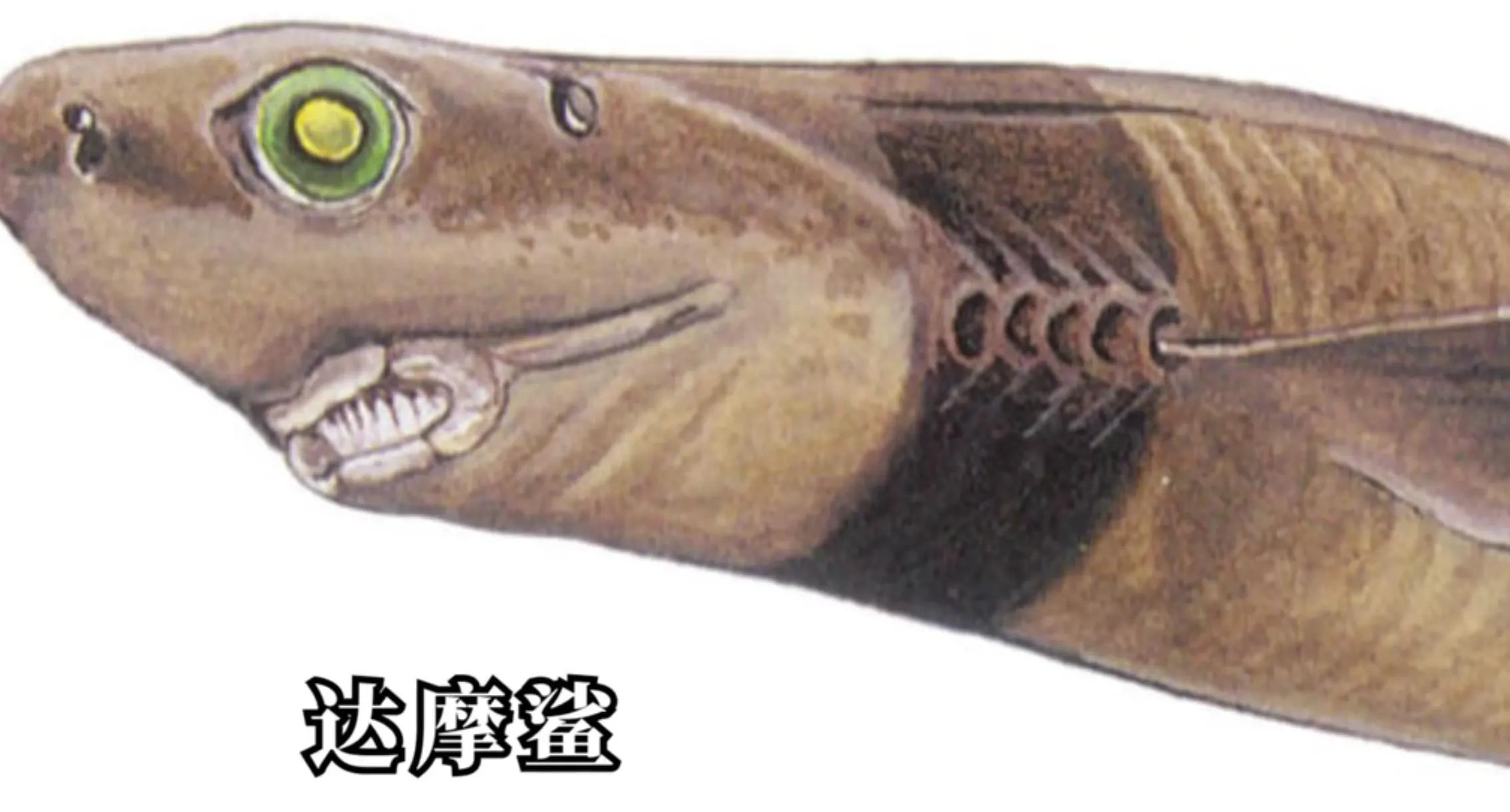 Eating raw killer whales and biting U.S. submarines is the well ...