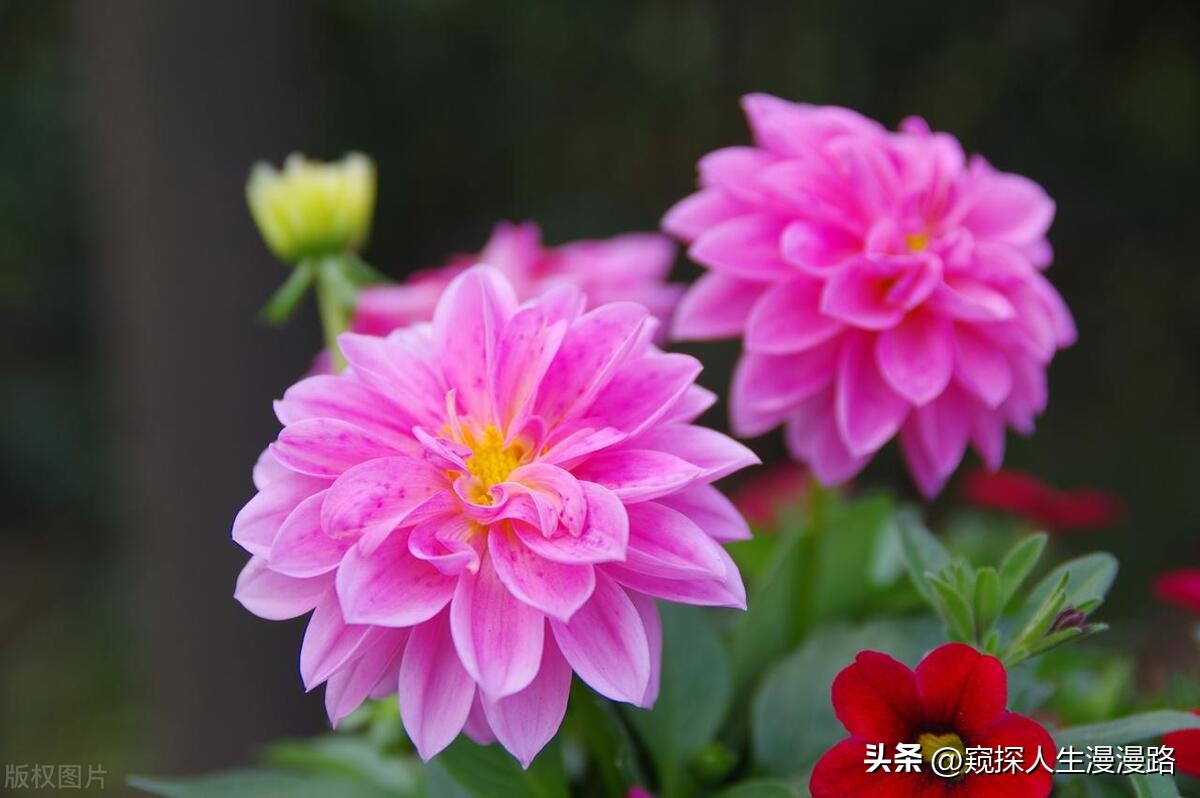 Why is the great general Li Guang called "parachutist"? How did he ...