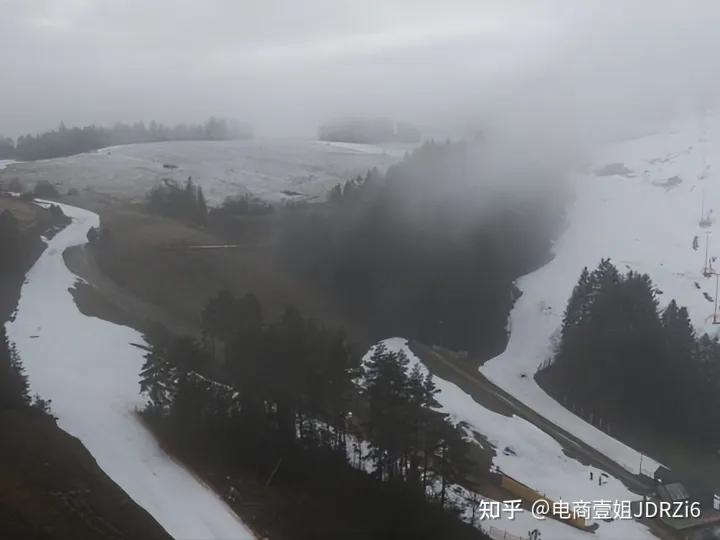 How does the Jingdong International Buyer Store reopen? - iMedia