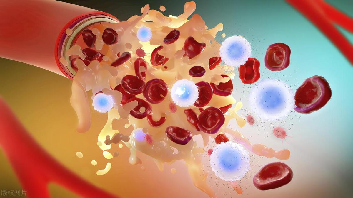 The Importance of Platelets - Preventing Fatal Bleeding - iNEWS