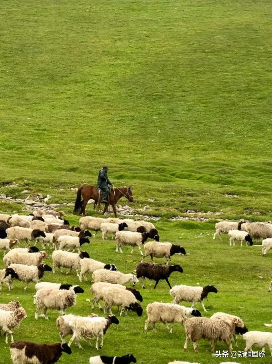 What does the ending of "Flying Life" mean? Go to the filming location ...