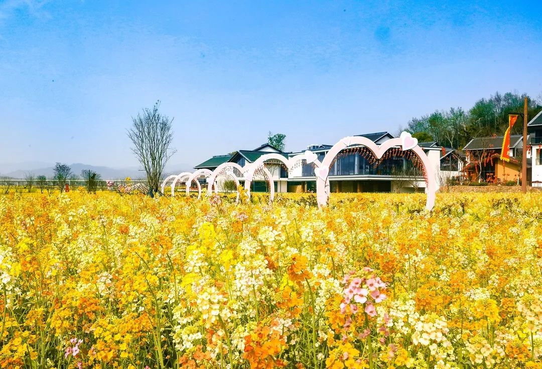 Play jungle rafting and get a big ticket for the scenic spot! - iMedia