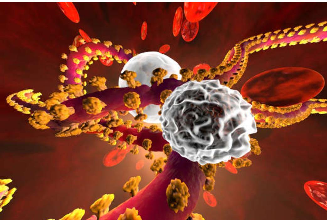 US scientists claim to have developed targeted chemotherapy that can ...