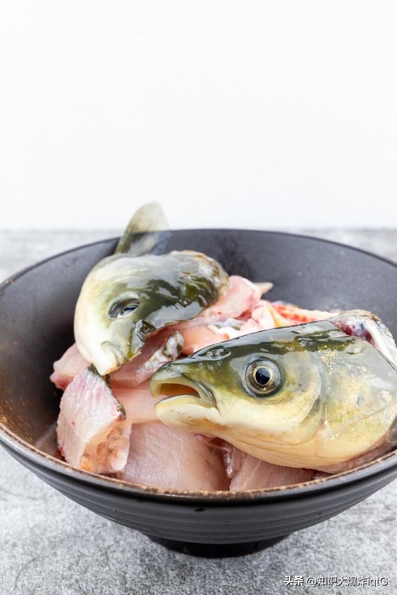 Eat around the world: Taste specialties from all over the world - iMedia