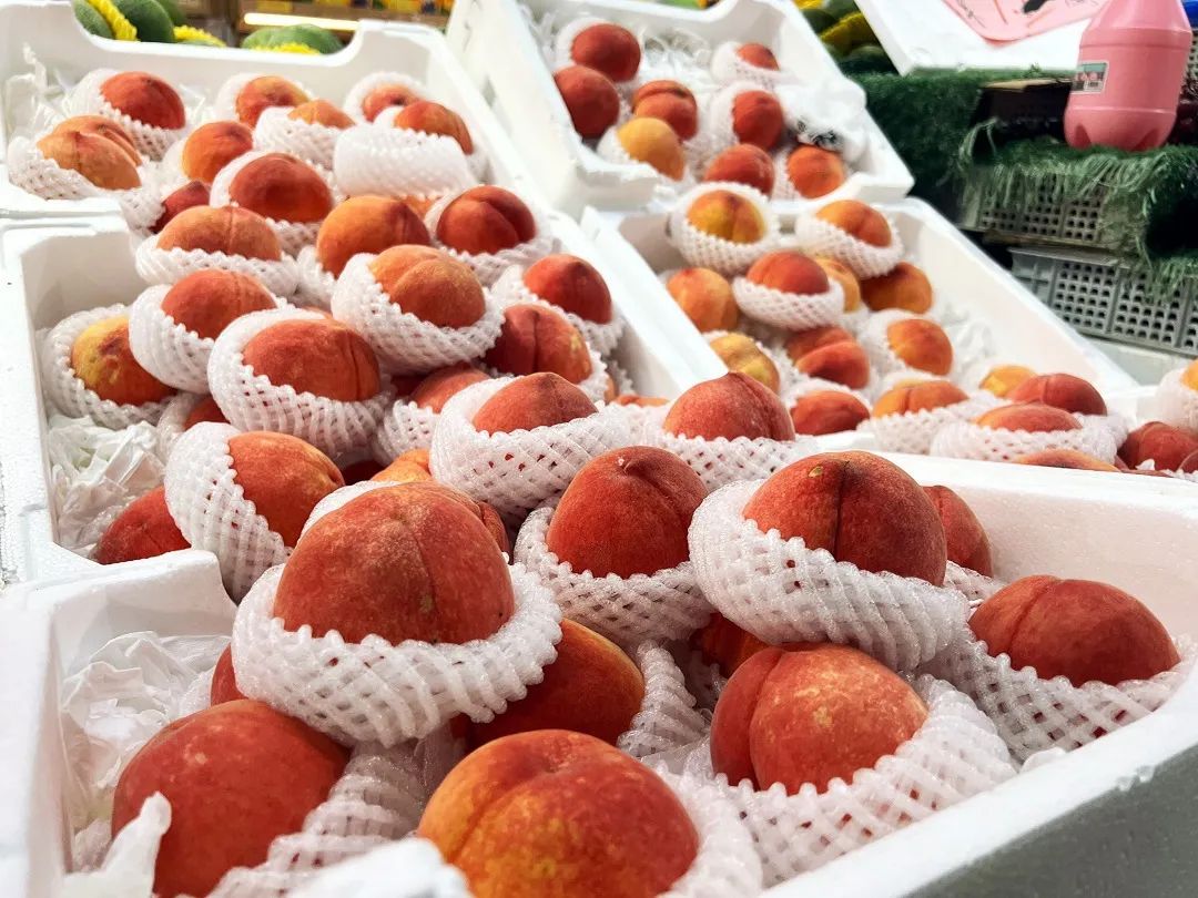 sweet! Come to Dongjing and have a fruit feast - iNEWS