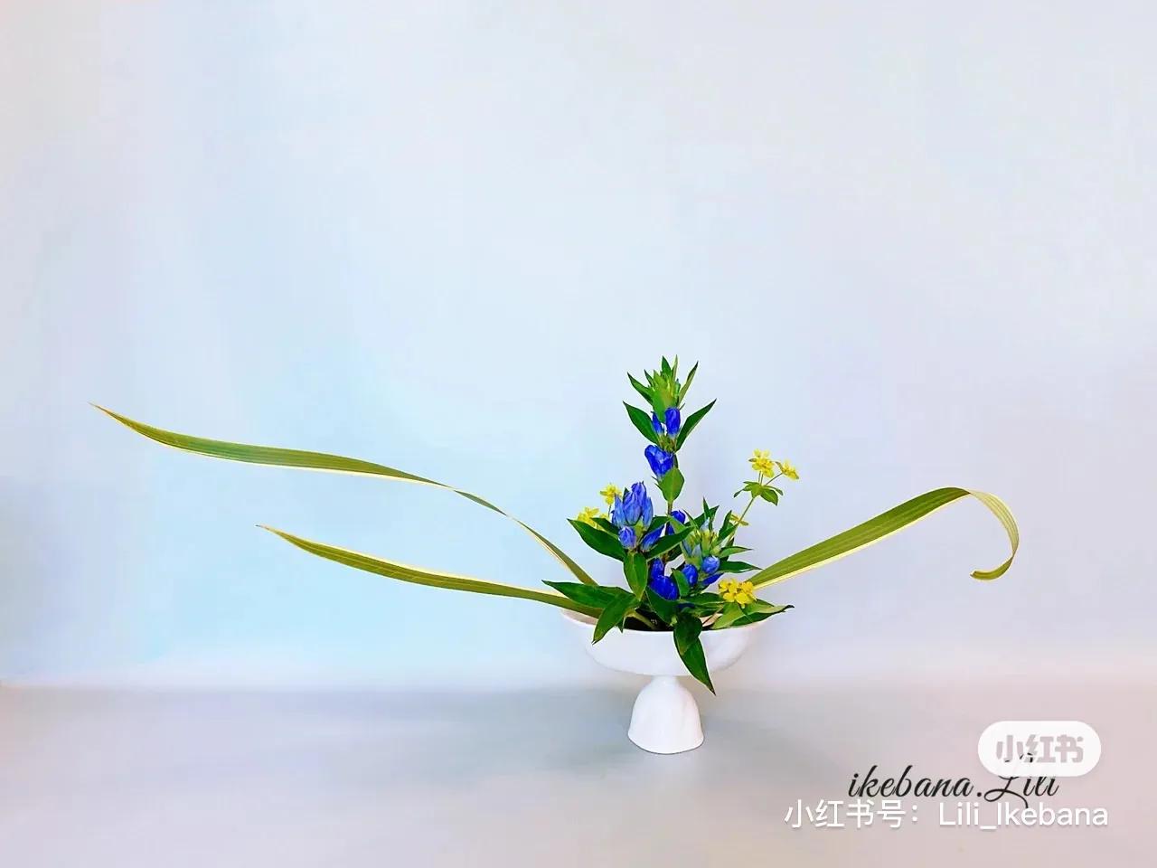 Elementary flower pattern - iMedia