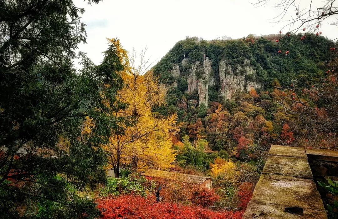 Danshan and Chishui are full of autumn scenery - iNEWS