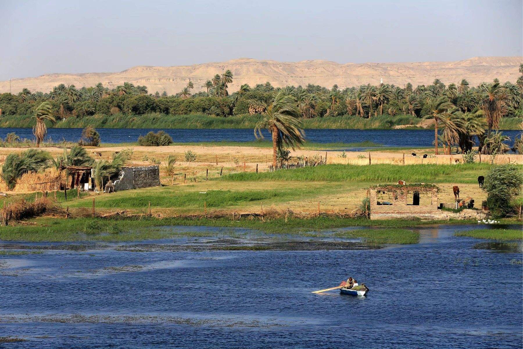 Agriculture and Irrigation Systems in Ancient Egypt and the Nile - iNEWS