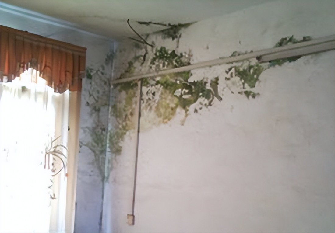 What is the cause of water seepage in the ceiling? How to repair the ...