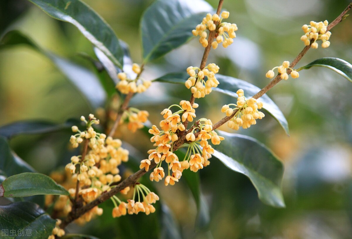 What should I do if the fighting power disappears?Replenish Yang Qi and ...