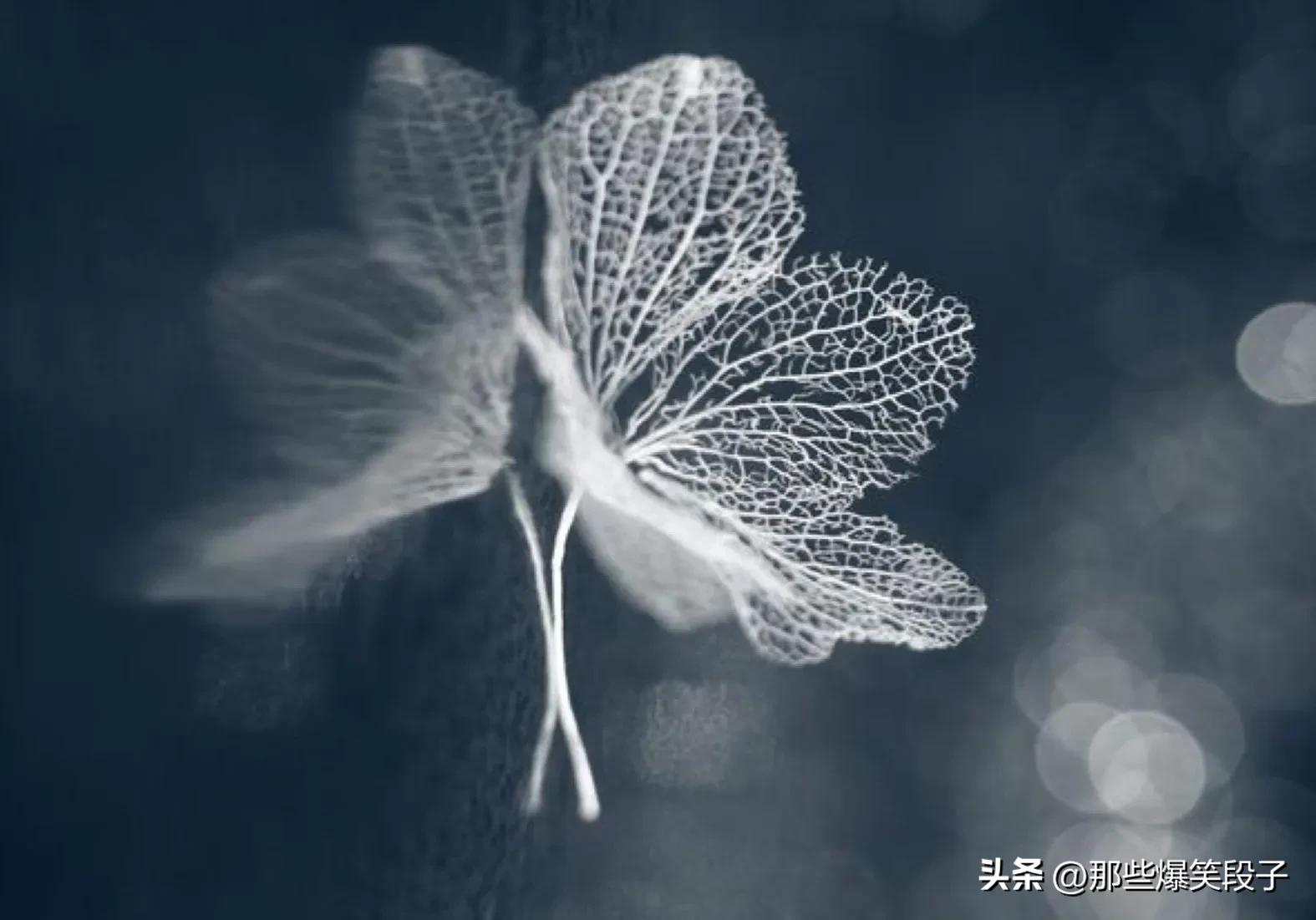 Once the opposite sex has an ambiguous relationship, it will fall out ...