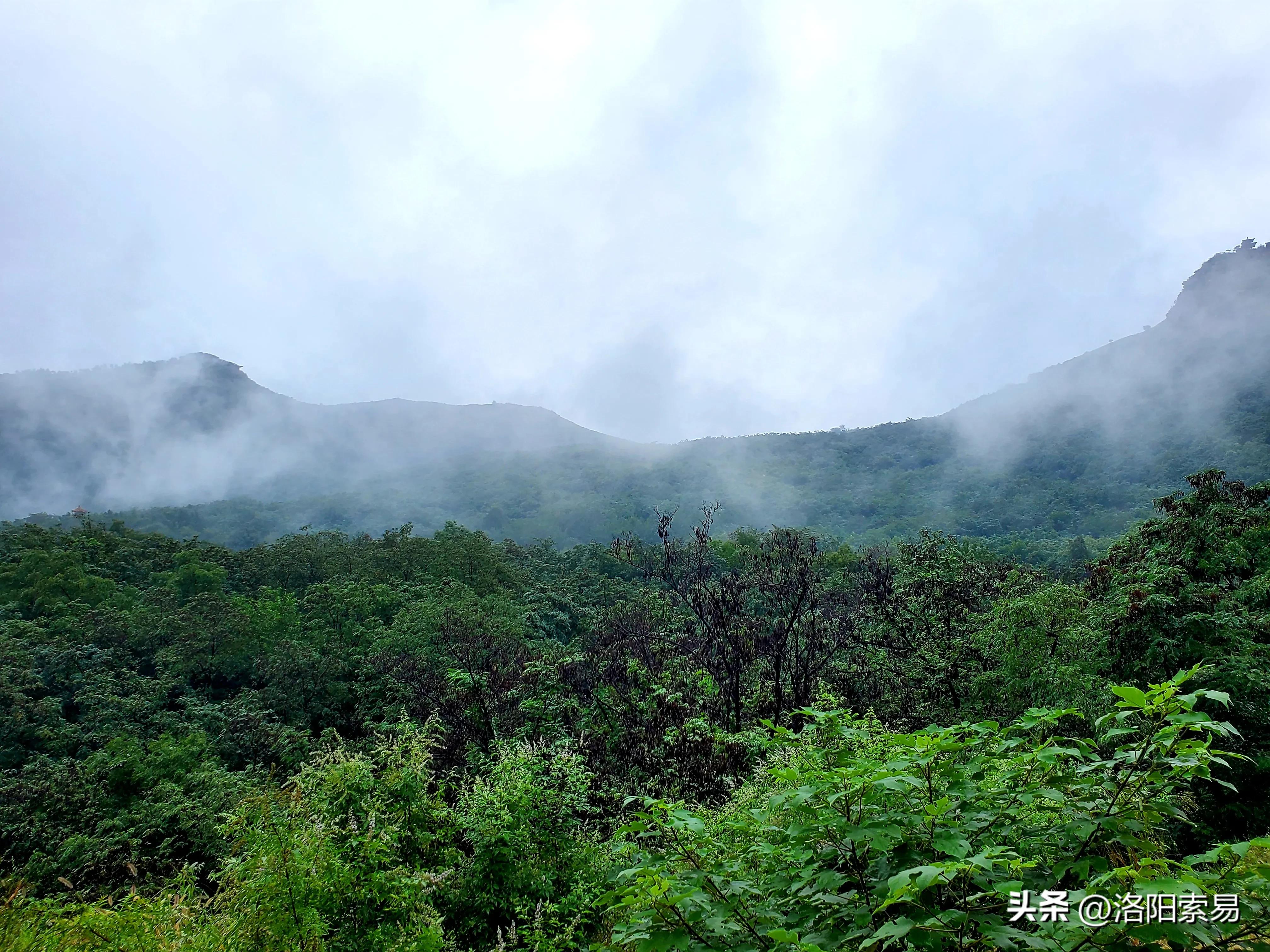 Luoyang Garden Eastern Han Dynasty Royal Garden North Palace - iNEWS