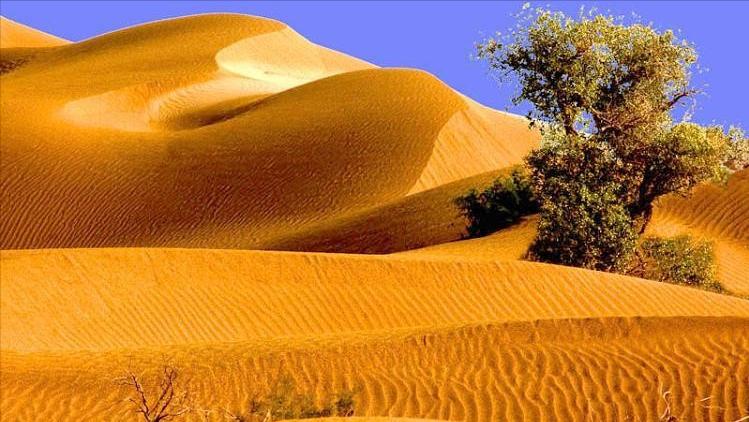 There is also a lack of vegetation, and the Mu Us Desert is about to ...