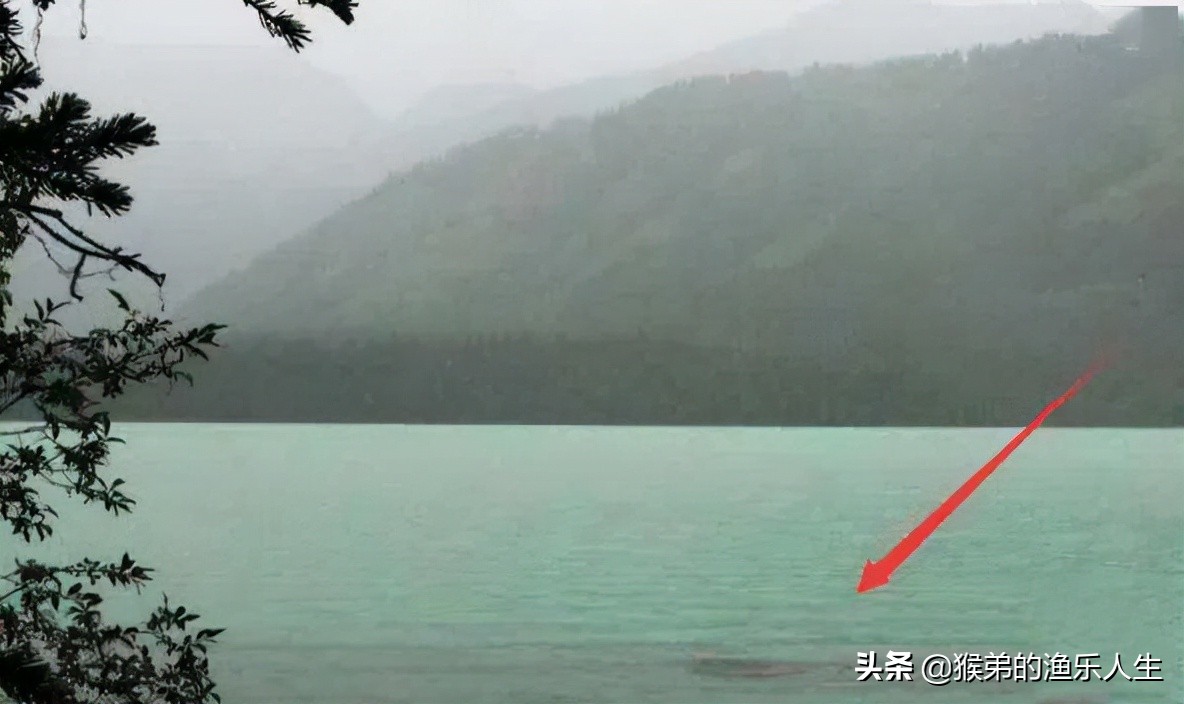 Experts say: Is there a 124-meter-long big red fish in Kanas Lake ...