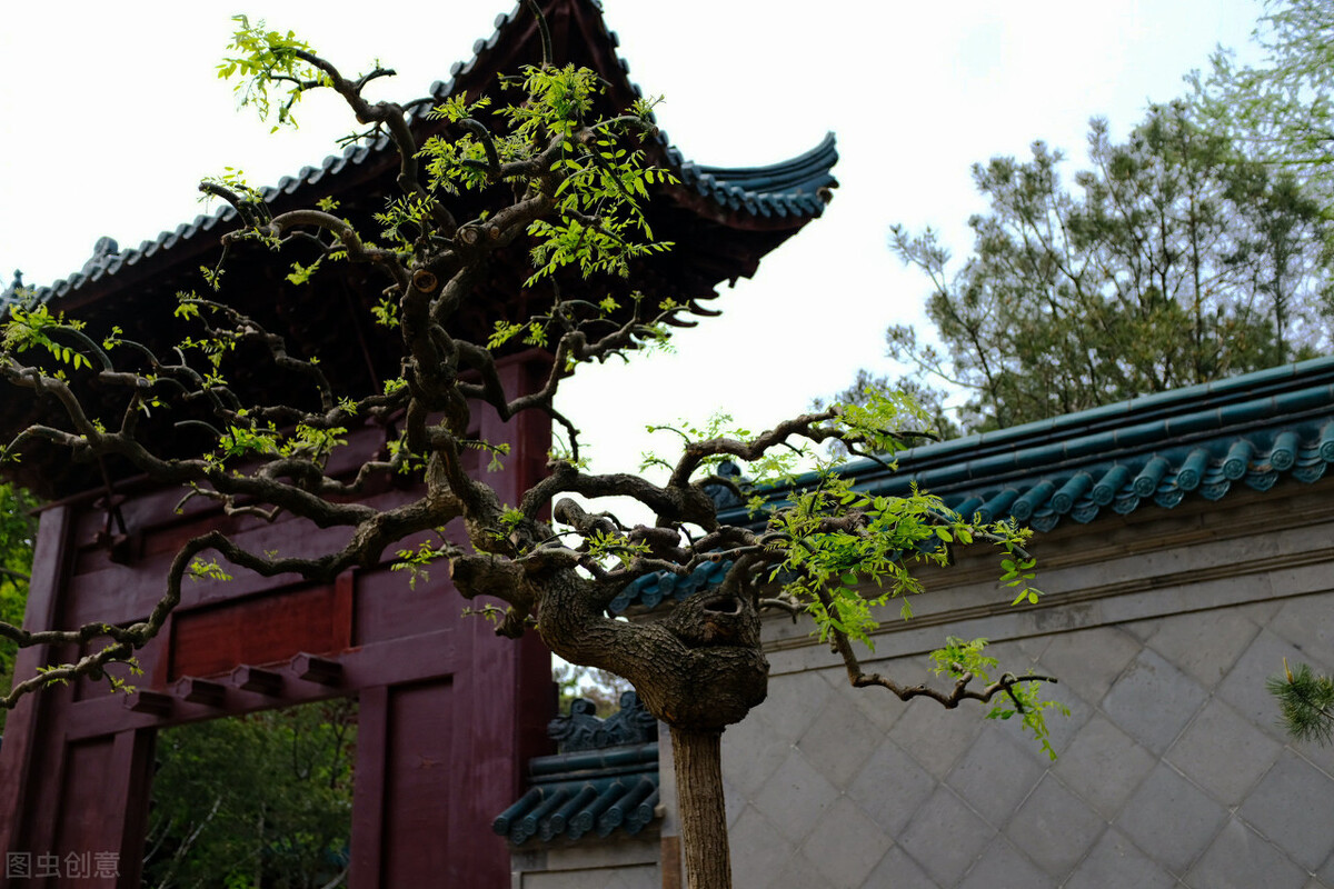 Two boxes of goods plus a mud tire prove who Xue Pan is - iNEWS