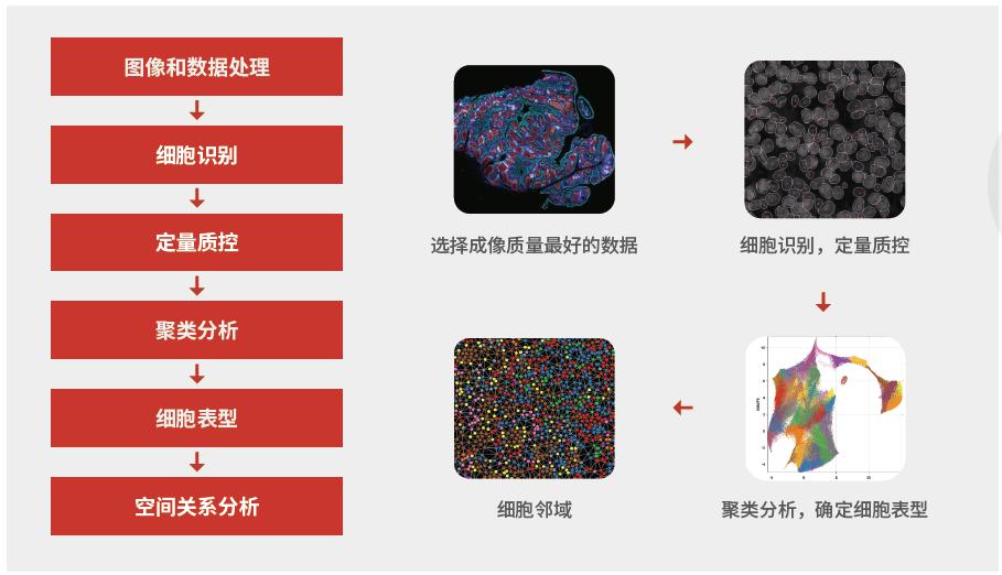 Complete Solution for Spatial Proteomics - iNEWS