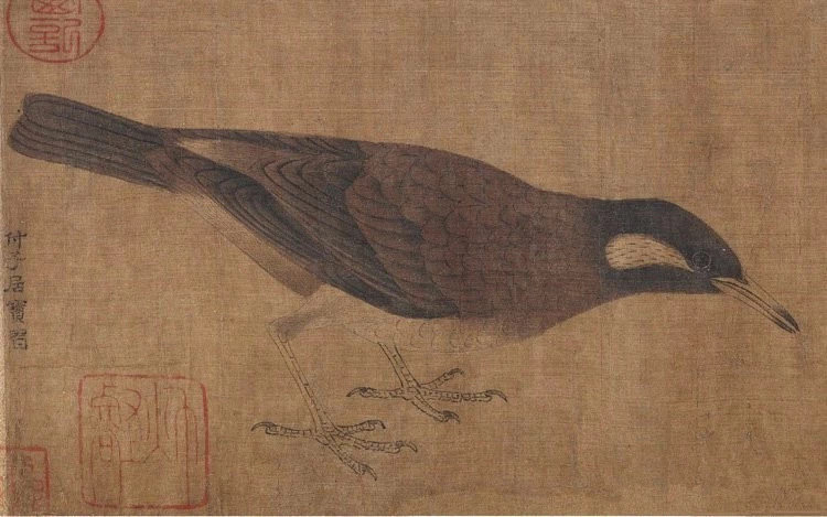 The Five Dynasties Huang Quan's "Sketch of Rare Birds": The beard and ...