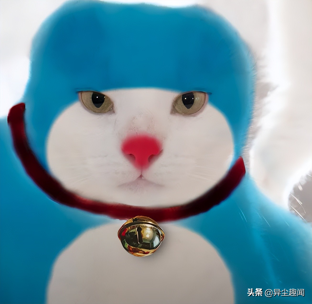The gods made the characters of Doraemon into real people, and the ...