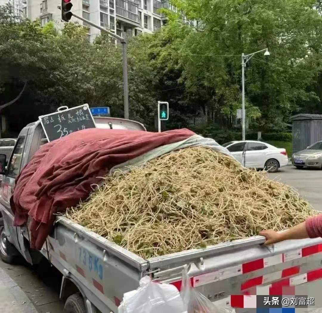 Zheergen: The Delicious Food of the Southwest - iNEWS