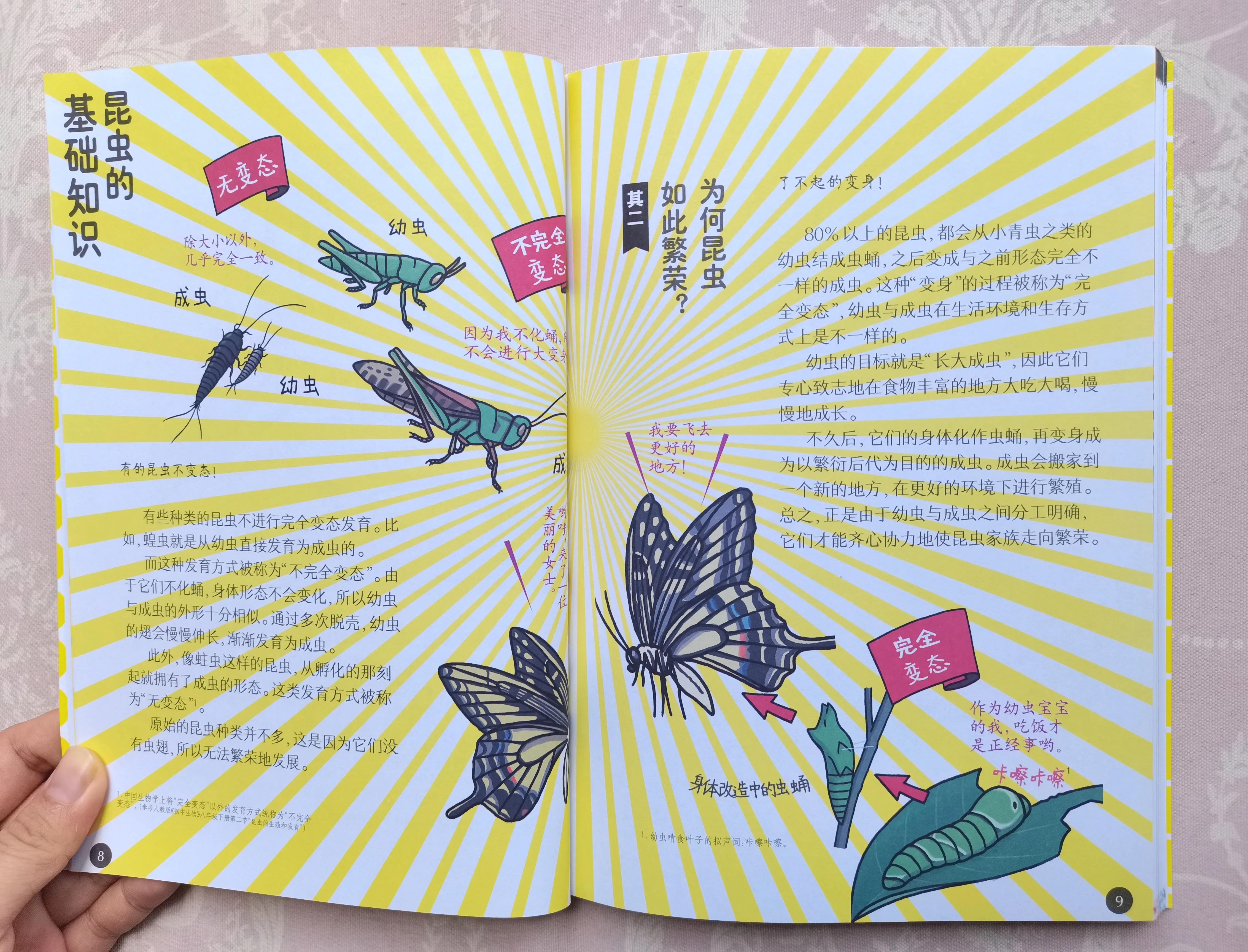 Welcome to the wonderful world of insects - iNEWS